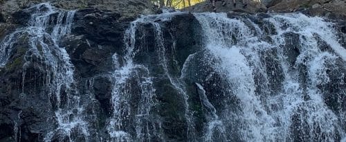 Ramapo Reservation in Mahwah: Waterfall, Trail Map, Fishing, Wildlife