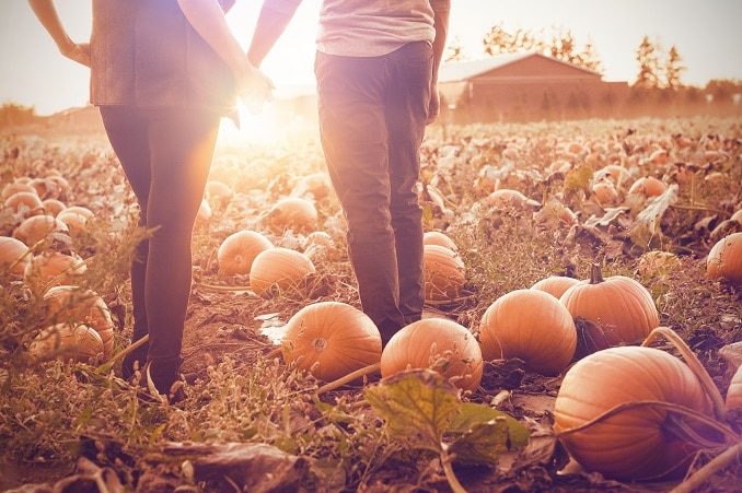 Bergen County Farms, Hayrides and Pumpkin Picking! Updated Fall 2023!