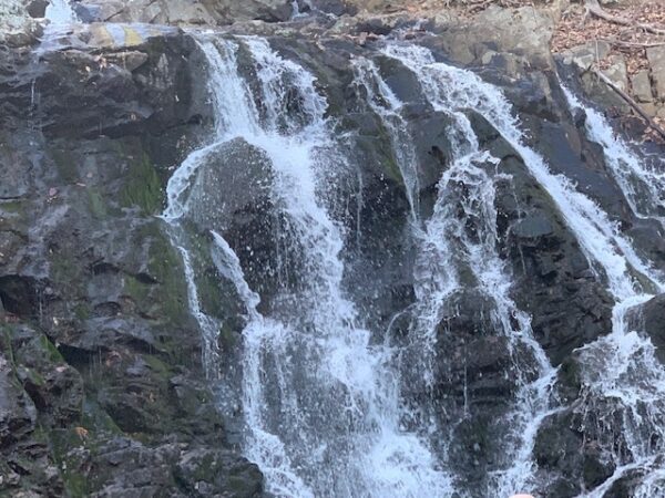 Ramapo Reservation Mahwah: Waterfall, Trail Map, Wildlife, Directions
