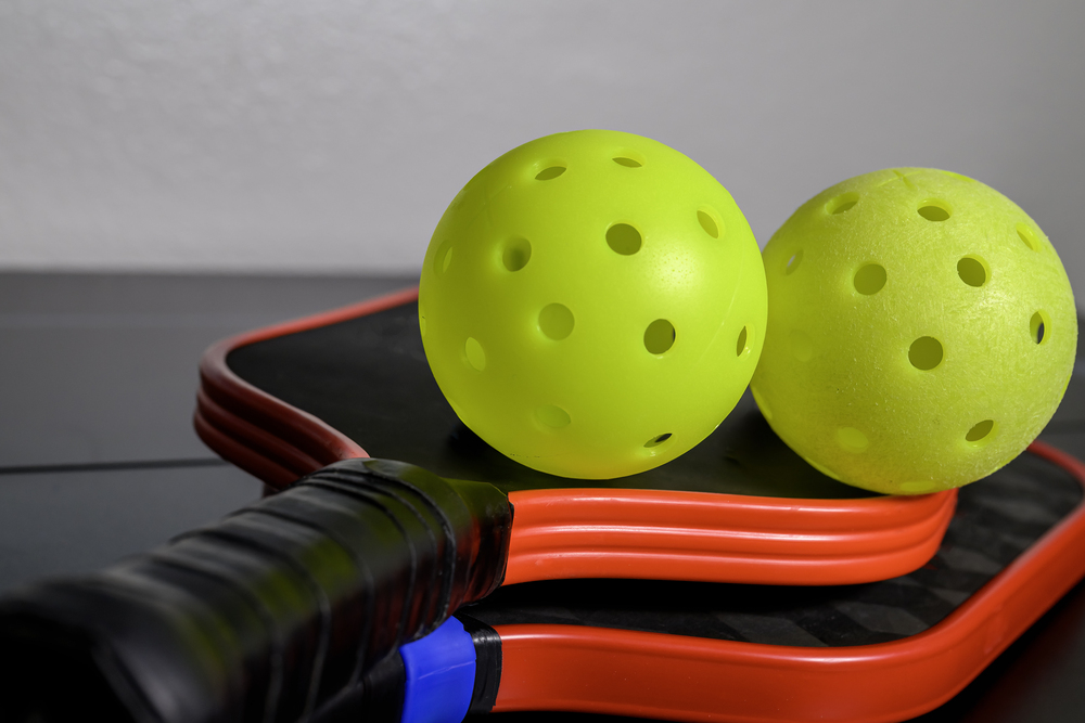 Pickleball Clinics in Bergen County 10% Discount for New Players!